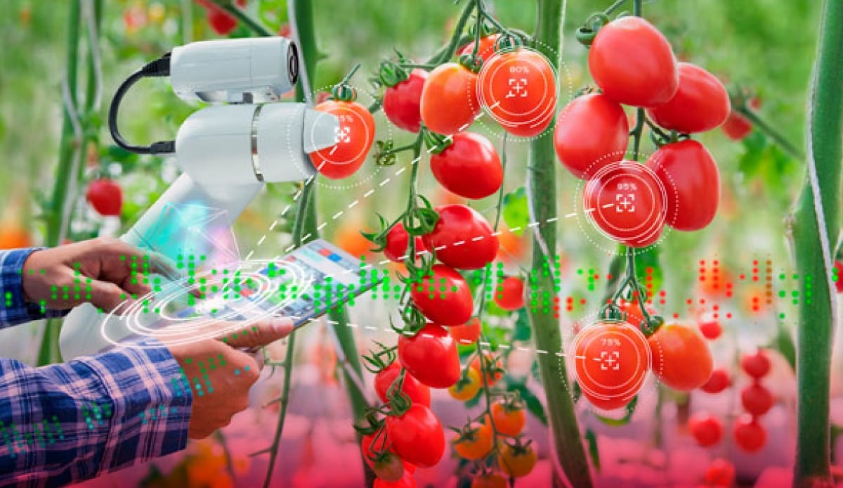 Retos y desafíos de la agroindustrias | Blog UPSJB